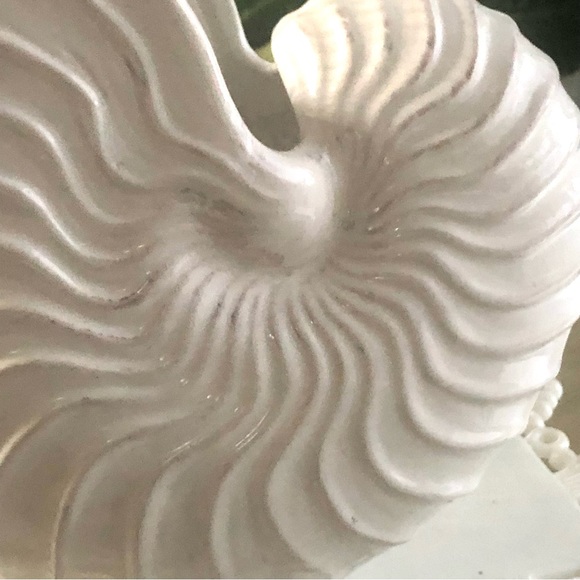 Accents | New Gorgeous Large White Ceramic Nautilus Wall Pocket | Poshmark